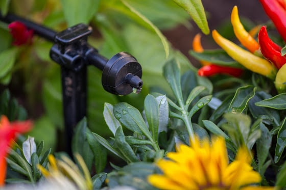 LP Products 5.0 GPH Pressure Compensating Dripper -Tan – Songbird ...